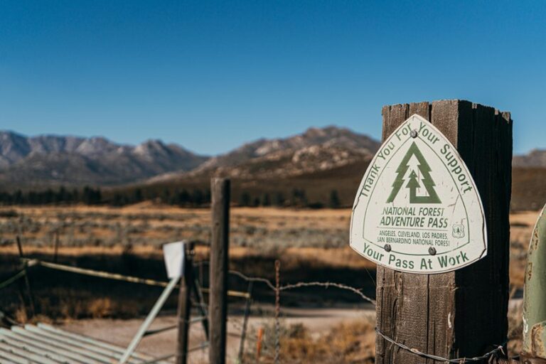 Concealed Carry License Florida Your Step-by-Step Path to a CCW Permit ...